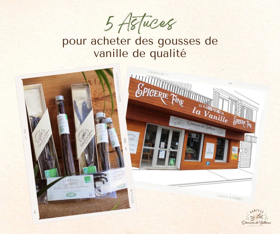 5 Choses à savoir pour acheter une vanille de qualité - Le Domaine de ...